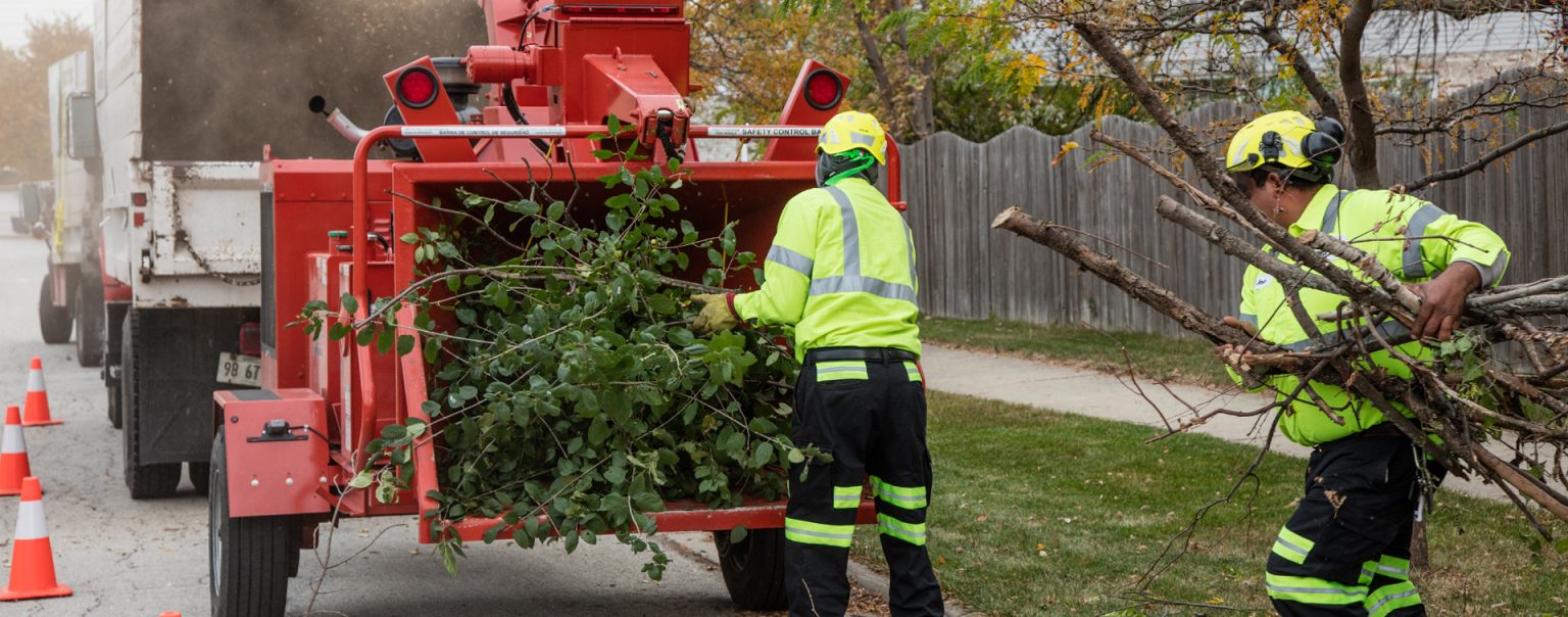 Contact – Precise Tree Care
